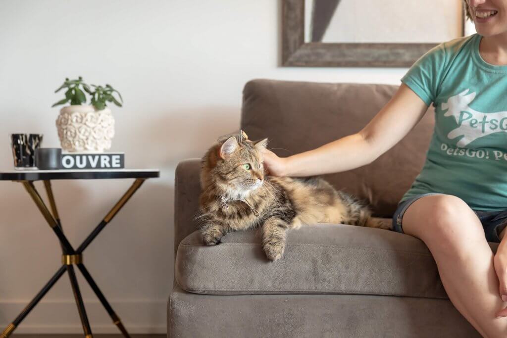 5 Things to Know About Dog and Cat Models | The Life of a Pet Model