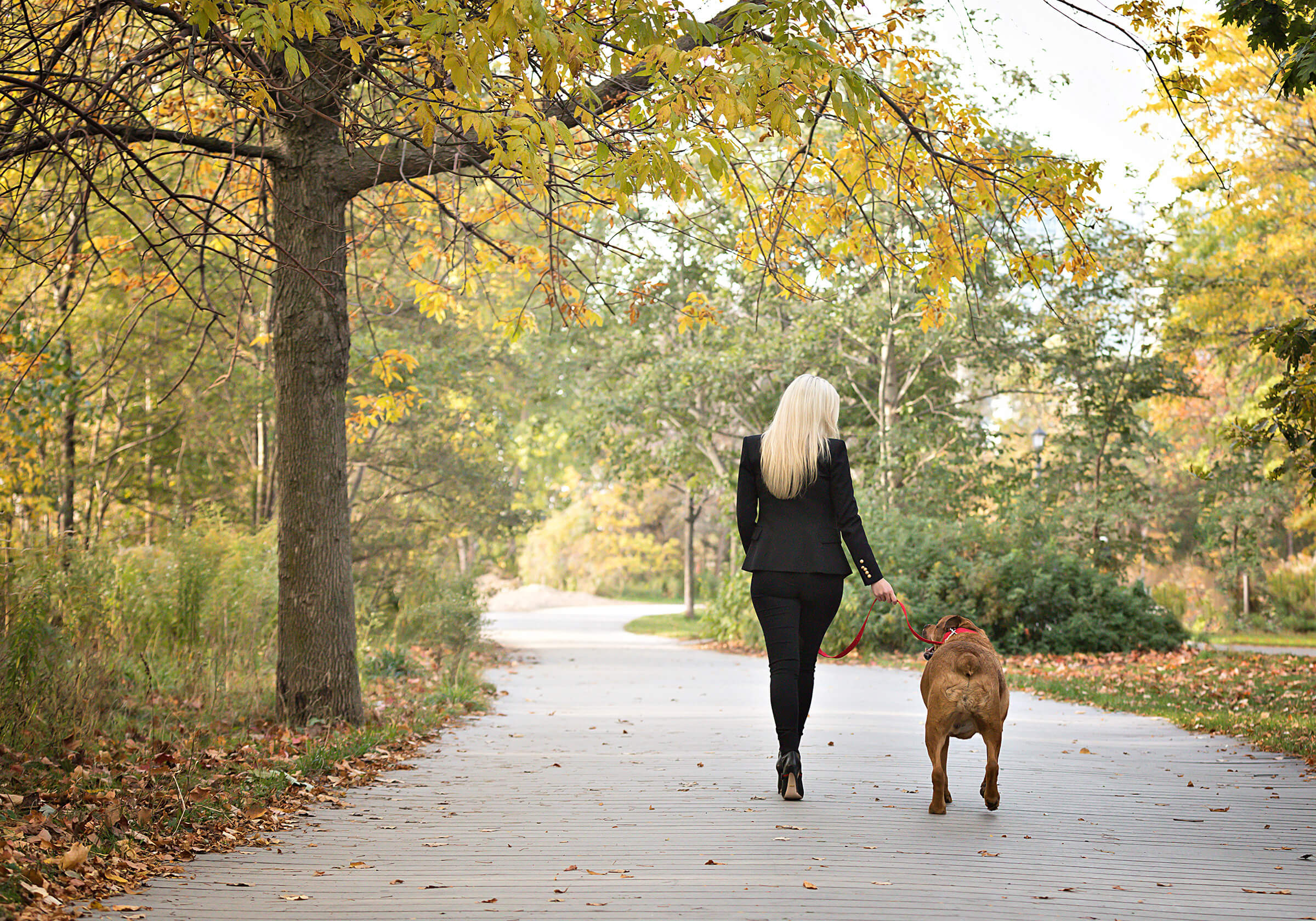 Family Photography with Pets | Posh Pets® Photography in Toronto
