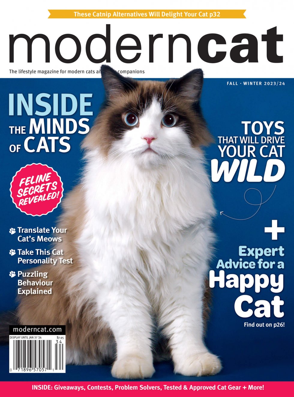 Modern Cat Magazine Cover - Editorial Cat Photography in Toronto